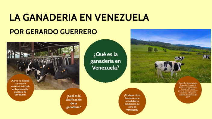 LA GANADERIA EN VENEZUELA by Gerardo Guerrero on Prezi