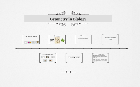 Geometry in Biology by on Prezi
