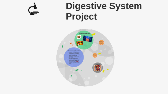 Digestive System Project by School Projects on Prezi