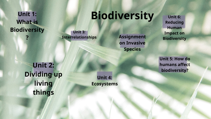 Grade 6 Biodiversity by Lindsay Beamer on Prezi