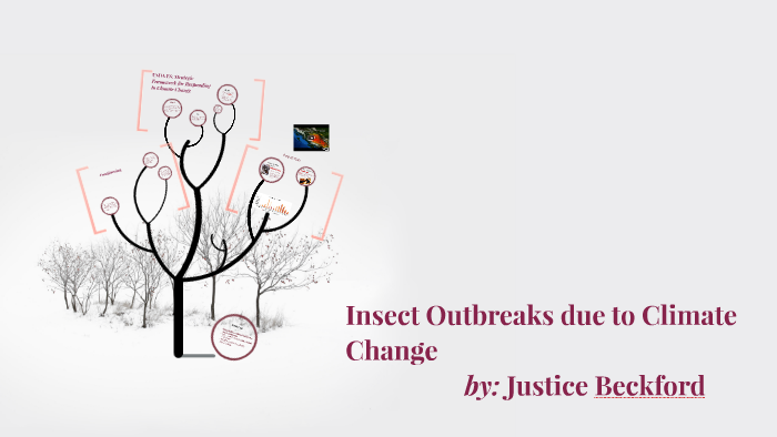 Insect Outbreaks due to Climate Change by Justice Beckford on Prezi