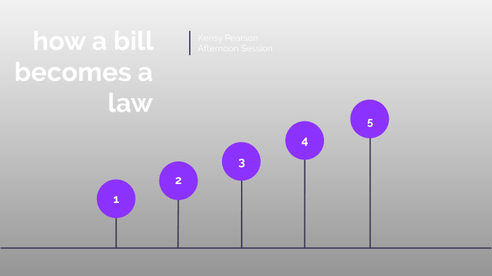 How A Bill Becomes A Law by kenzie pearson on Prezi