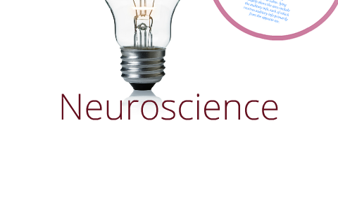 Neuroscience by komal bandar on Prezi
