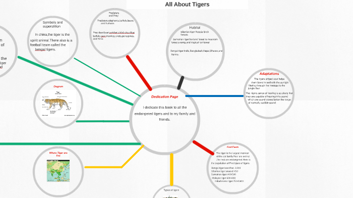 All About Tigers by Isaiah Rangel on Prezi