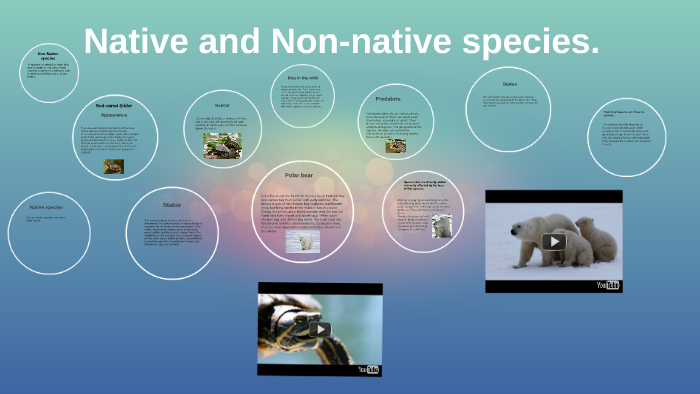 Native and Non-native species. by camille rene-waterhouse