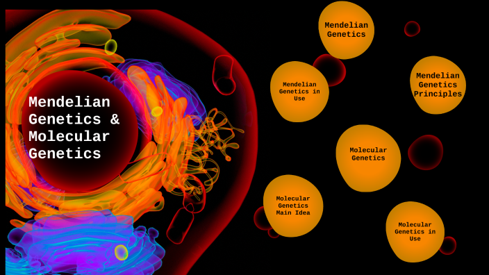 Variable Expressivity vs. Pleiotropy in Mendelian and Molecular ...