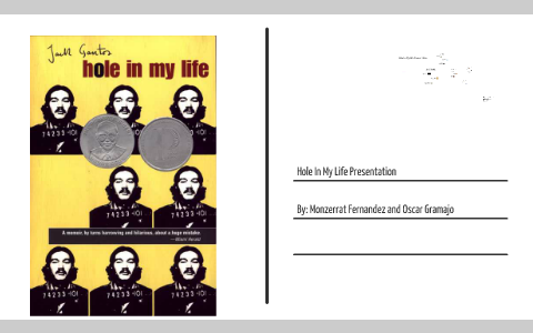Hole In My Life Presentation by on Prezi