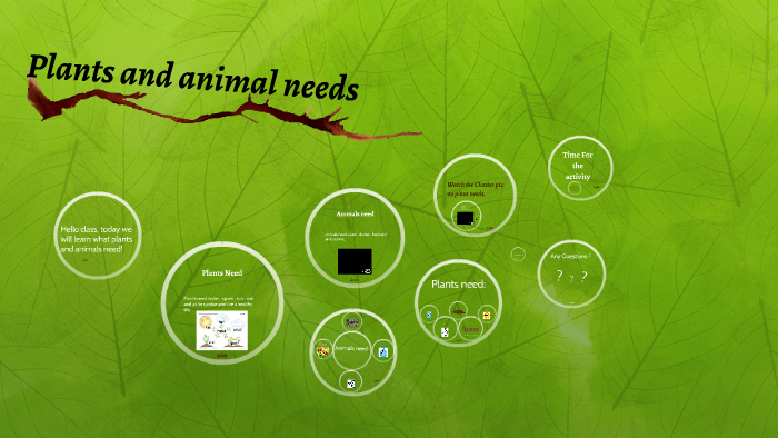 Plants and animal needs by AOE SPS2 on Prezi