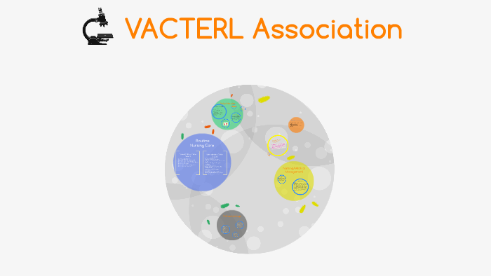 VACTERL Association by Carissa Islas on Prezi