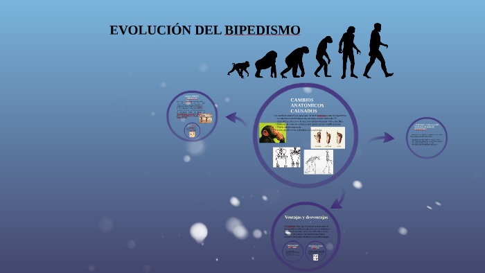PRINCIPIOS DEL BIPEDISMO by Luis Villuendas on Prezi