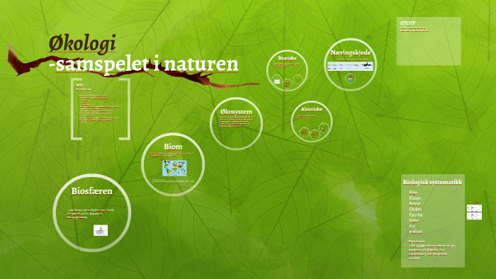 Økologi by Ragnhild Tveiten