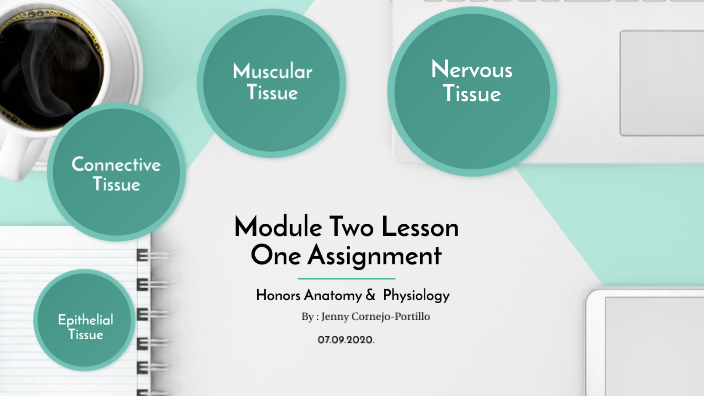 Module Two Lesson One Assignment - Jenny Cornejo-Portillo by Jenny Cornejo on Prezi