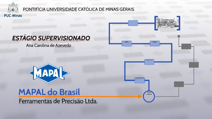 MAPAL do Brasil by Ana Carolina de Azevedo on Prezi