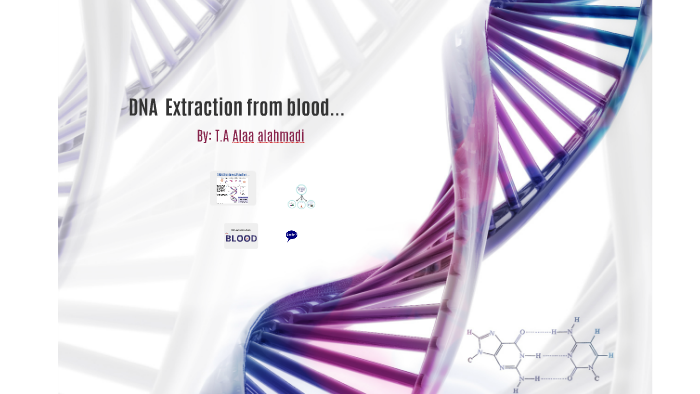 DNA extraction from blood by alaa alahmadi on Prezi