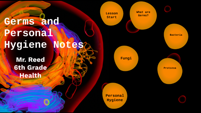 6th Grade Germs and Personal Hygiene Notes by Mr. Reed on Prezi