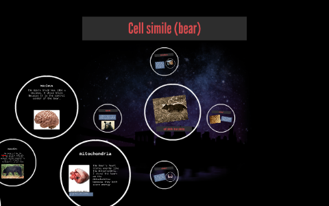 Cell simile (bear) by matthew merritt on Prezi