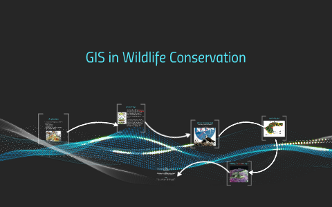 GIS in Wildlife Conservation by jared lytle on Prezi