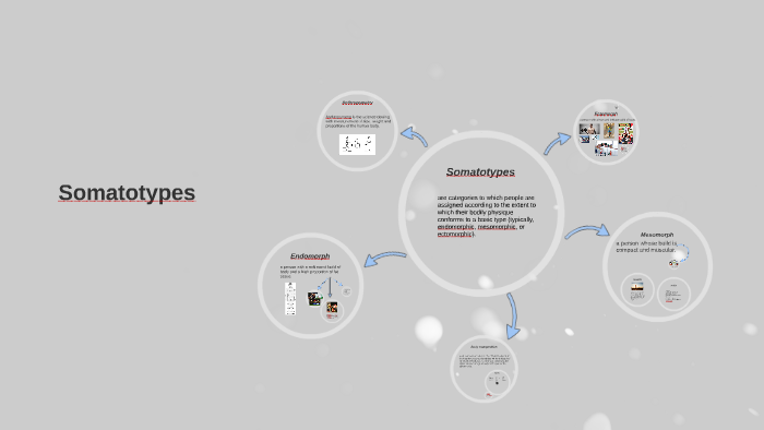 SOMATOTYPES by Samantha Gaul on Prezi