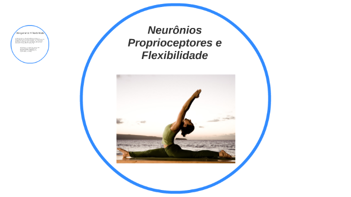 Neurônios Proprioceptores e Flexibilidade by Leandro Sá on Prezi