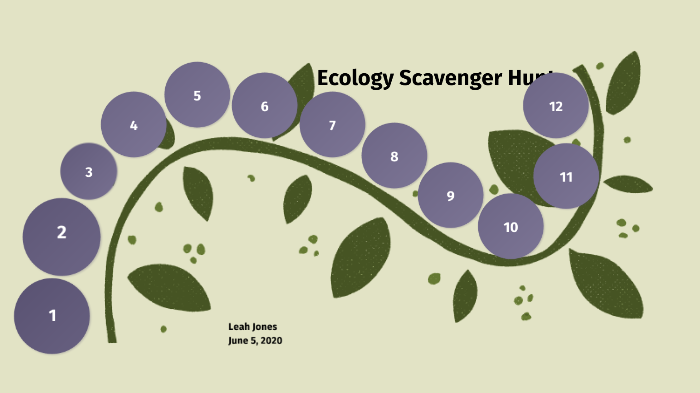 Ecology Scavenger Hunt by leah jones on Prezi