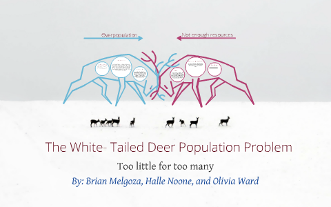 The White- Tailed Deer Population Problem by Nicole Ward on Prezi