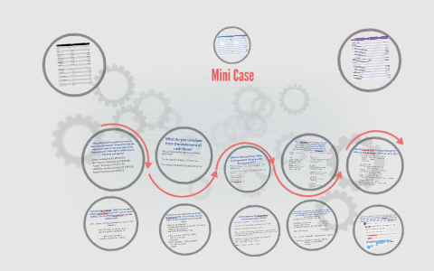 Mini Case 7 by Geb Group on Prezi
