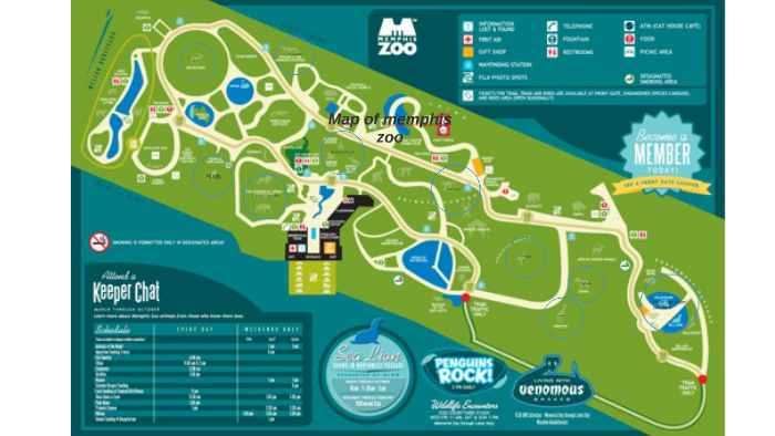 Map of Memphis zoo by Wali Rasheed on Prezi