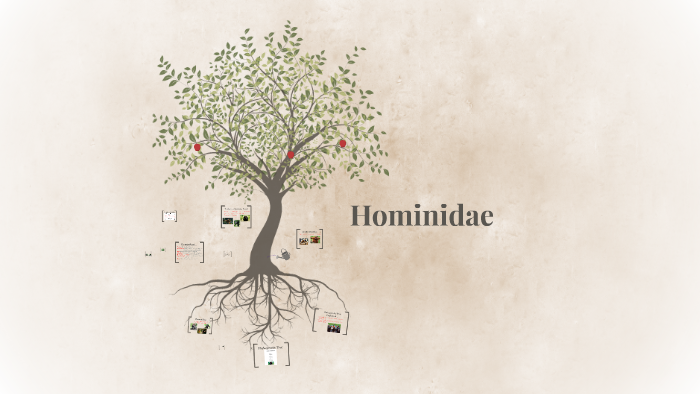 Hominidae by Jada Gailliard on Prezi