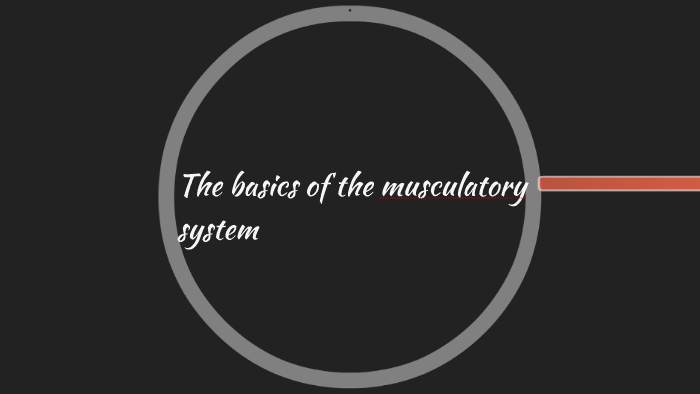 The basics of the musculatory system by kristian jensen on Prezi