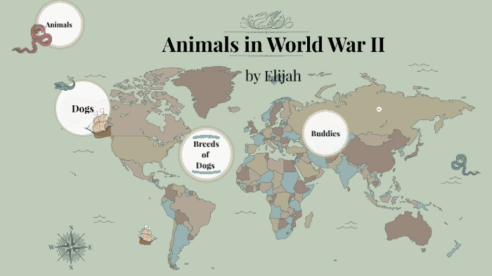 Animals in World War II by Elijah Allen on Prezi