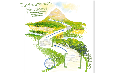 Effects of Environmental Hormones by Alexandra Sondreal