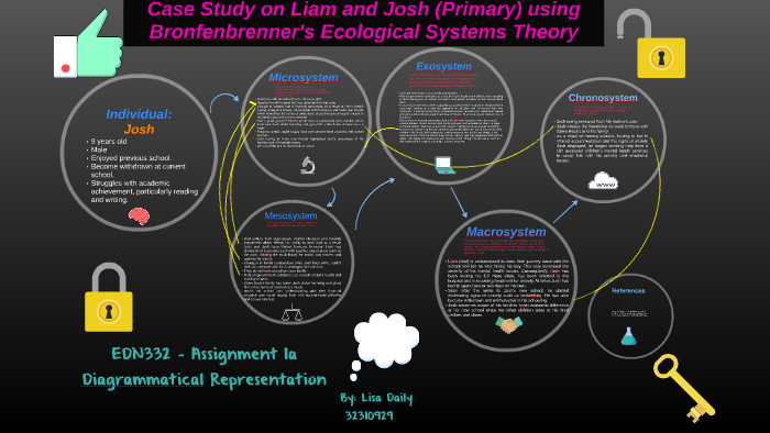 Ecological Systems Theory Examples