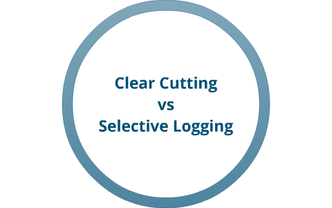 Clear Cutting vs Selective Logging by Martin Liu on Prezi