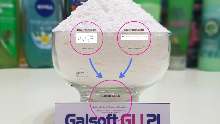 Galsoft GLI 21 by Sairohit Raghupathy on Prezi