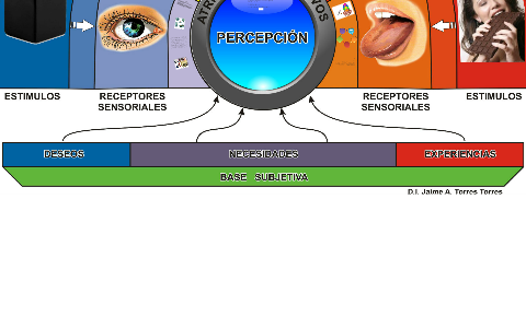 Percepcion de la Forma by jaime torres on Prezi
