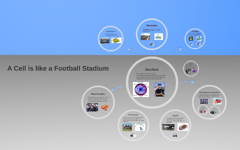 A Cell is like a Football Stadium by Edward Bittner on Prezi