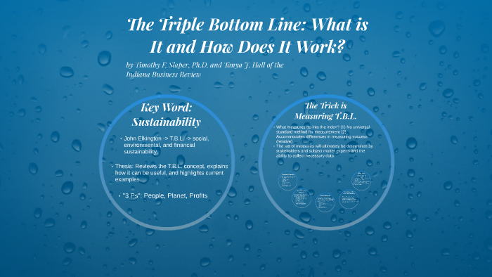 The Triple Bottom Line: What is It and How Does It Work? by Austen ...