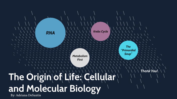 Biology Concept Map: The Origin of Life by Adriana DeSantis on Prezi