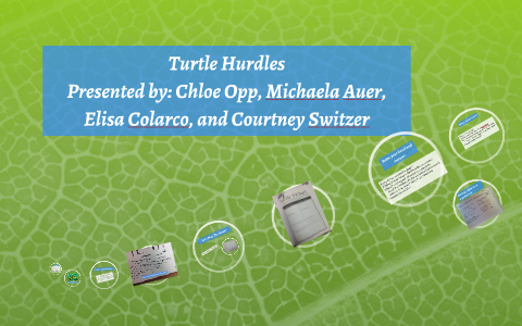 Turtle Hurdles by on Prezi