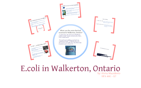 Water and e.coli in Walkerton, Ontario by Aloisa Macedonio on Prezi