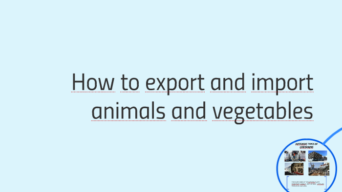 How to export and import animals and vegetables by raul garcia on Prezi