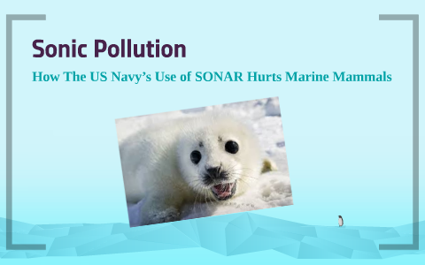 Sonic Pollution by Katelynne Read on Prezi