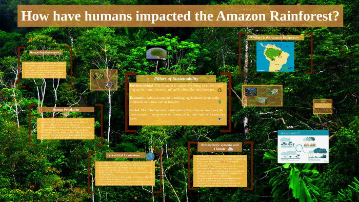 How have humans impacted the Amazon Rainforest? by arika barss on Prezi