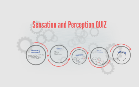 Sensation and Perception QUIZ by on Prezi