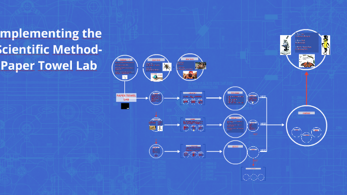Implementing the Scientific Method- Paper Towel Lab by Abby Samuels on ...