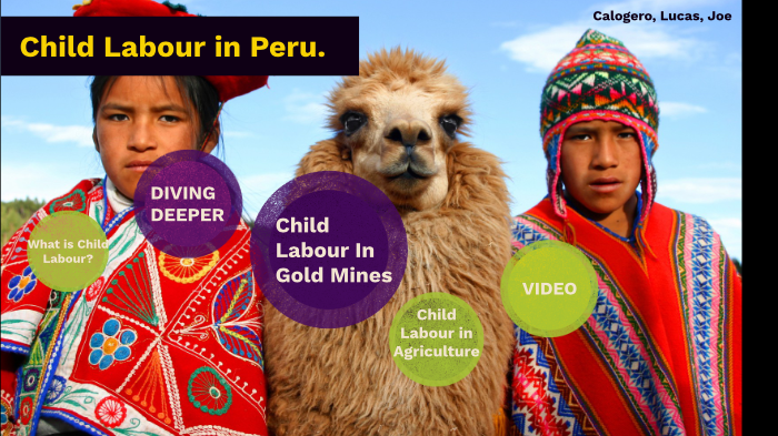 Child Labour In Peru by Lucas Montiel on Prezi
