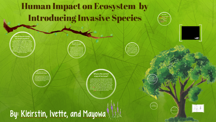 Human Impact in Ecosystem by Introducing Invasive Species by kLEIRSTIN ...