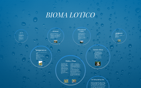 BIOMA LOTICO by Sebastián Camilo Borda Cartagena on Prezi