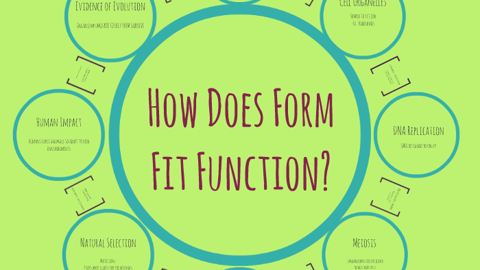 Form vs Function by Sonia Schroeder on Prezi
