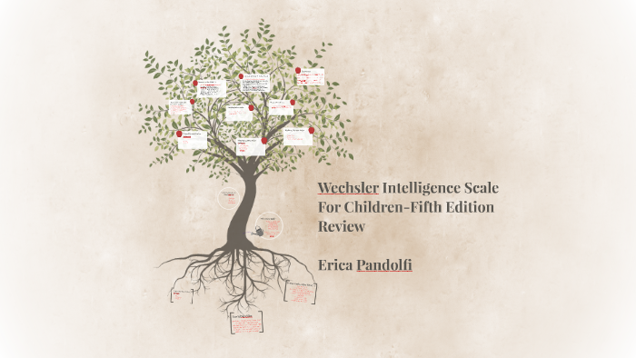 Wechsler Intelligence Scale For Children-Fifth Edition by Erica ...